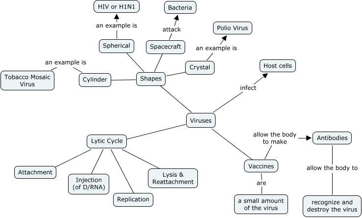 Patrick Shipway - CI5531 LP1 - What Is a Virus?