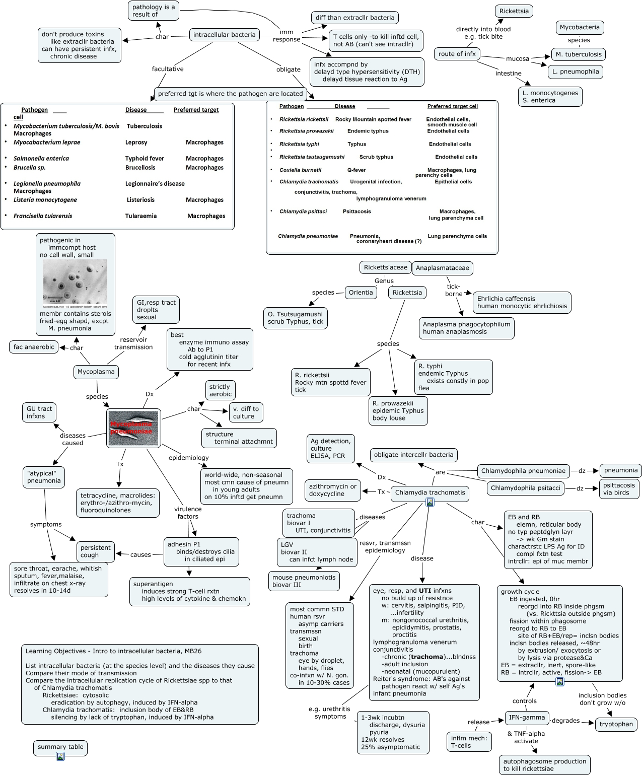 Bacteriology 10 intracellular bacteria intro mb26