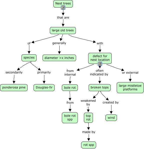 NSO nest tree concept map - What are the characteristics of NSO nest ...