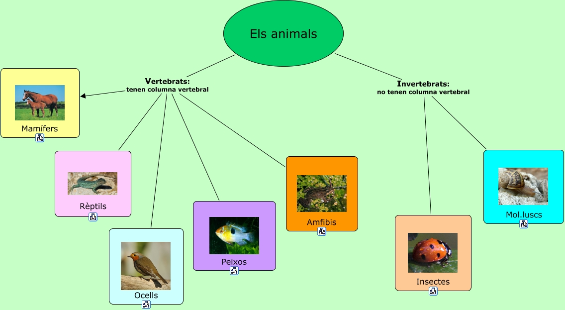 Els_animals