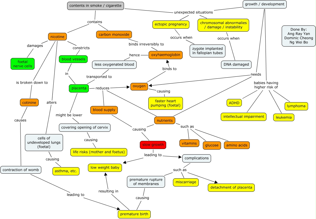 effects_of_smoking_on_foetus