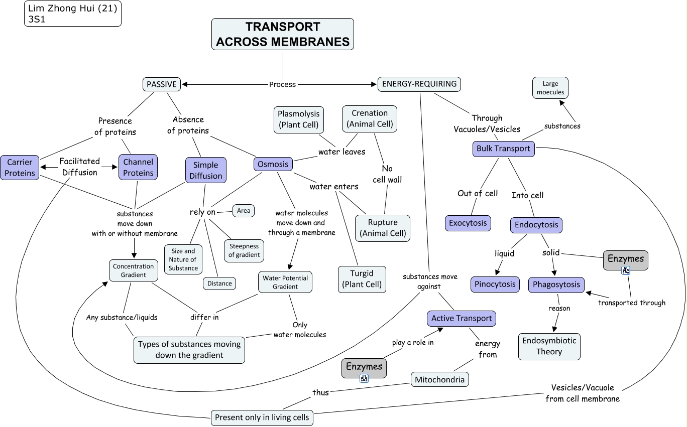 Biology - Transport of substances