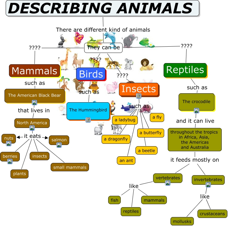 Describing animals