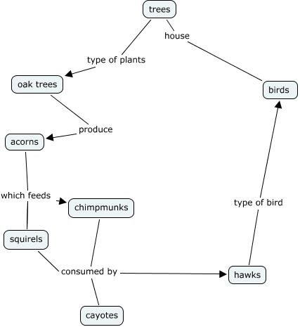 food webs A- team