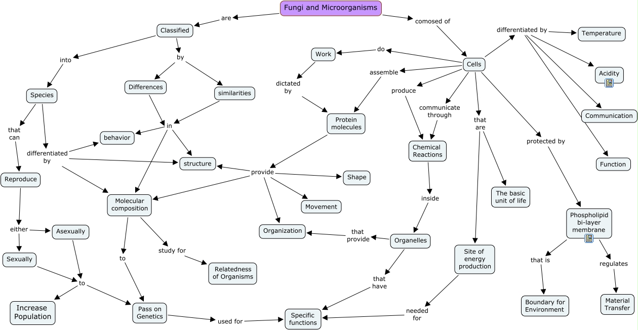 Loverich_SCI610_CTS_Map_1 - Fungi and Microorganisms