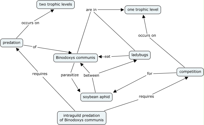 jeremychacon - intraguild predation of a soybean aphid parasitoid