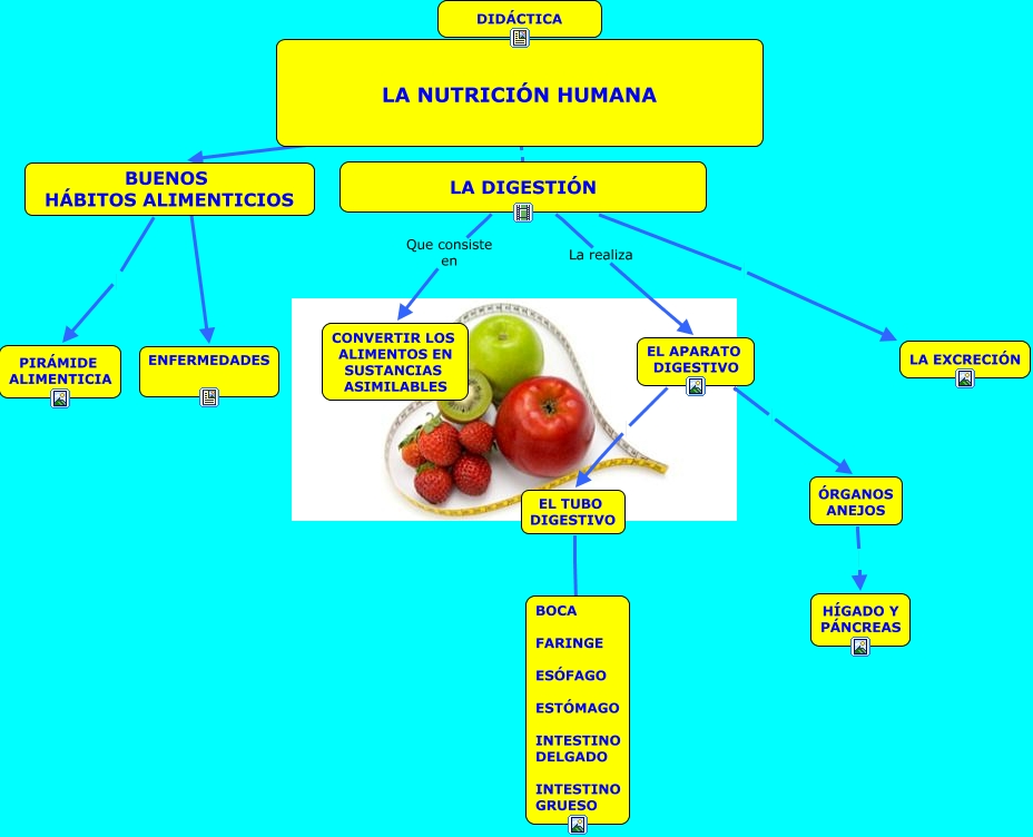 LA NUTRICION HUMANA