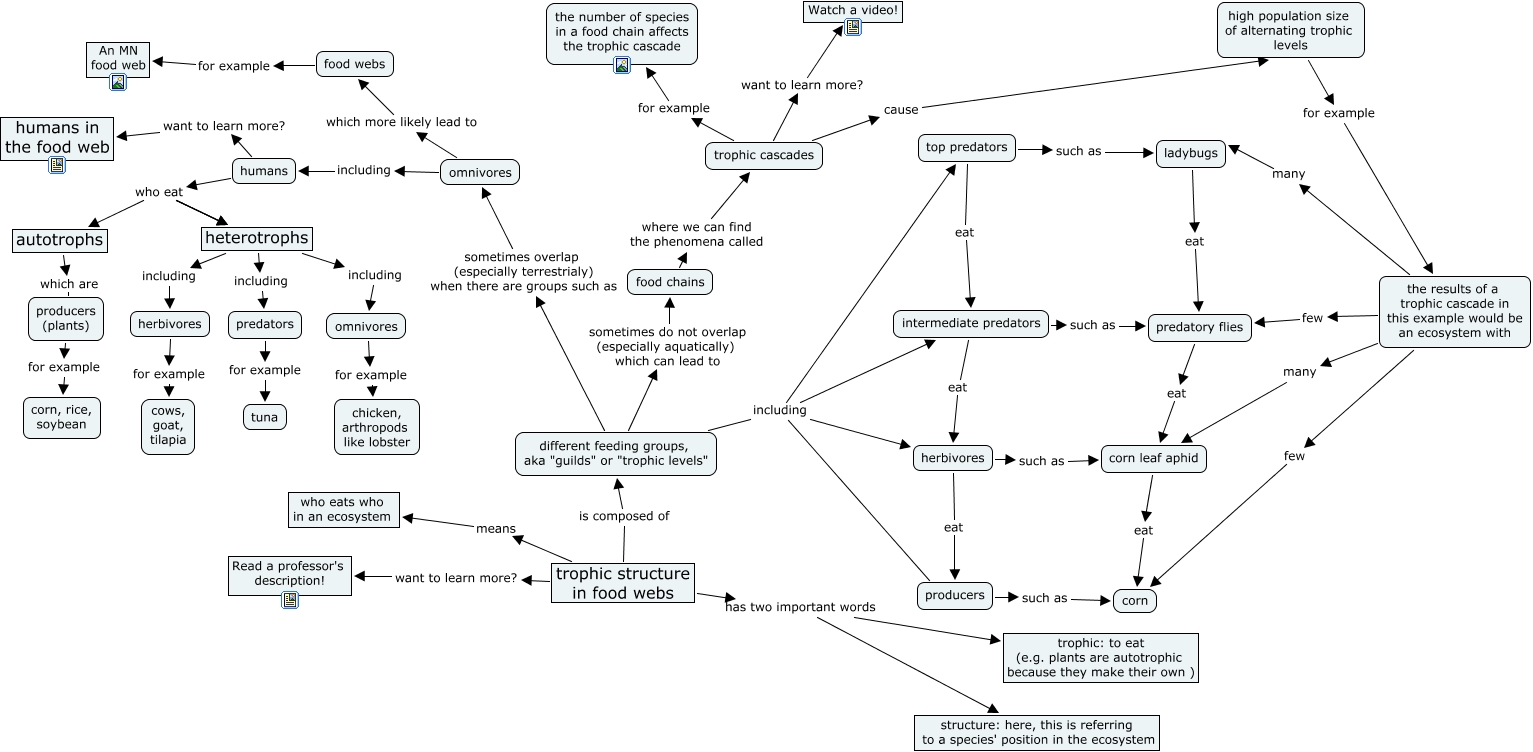 Trophic Structure in Food Webs - Who eats who in the ecosystem?