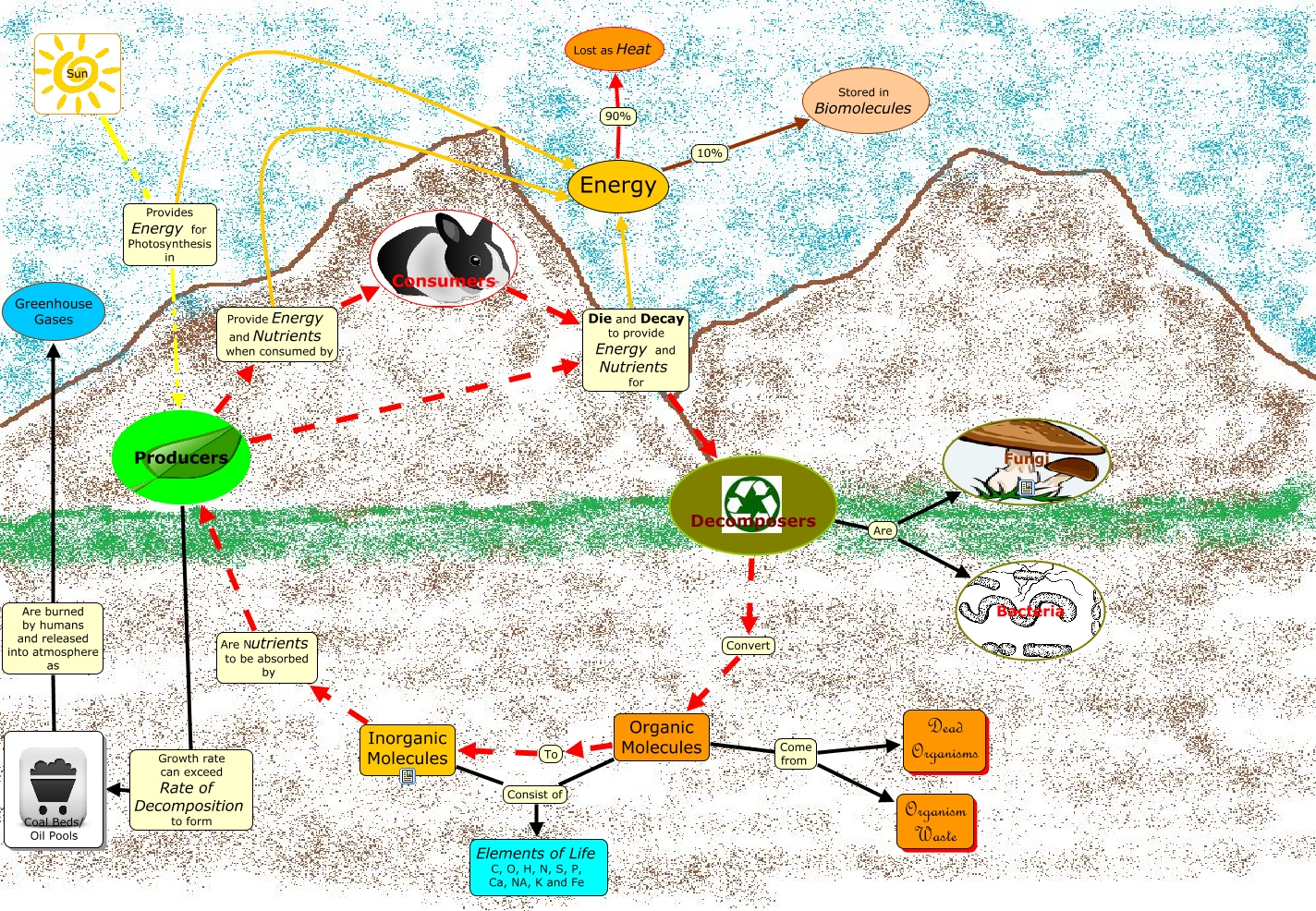 Semrau_CTS 3_Decomposers and Decay