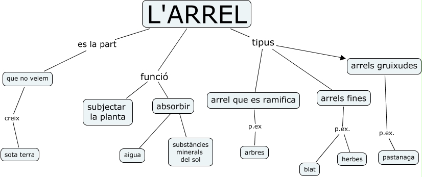 l'arrel