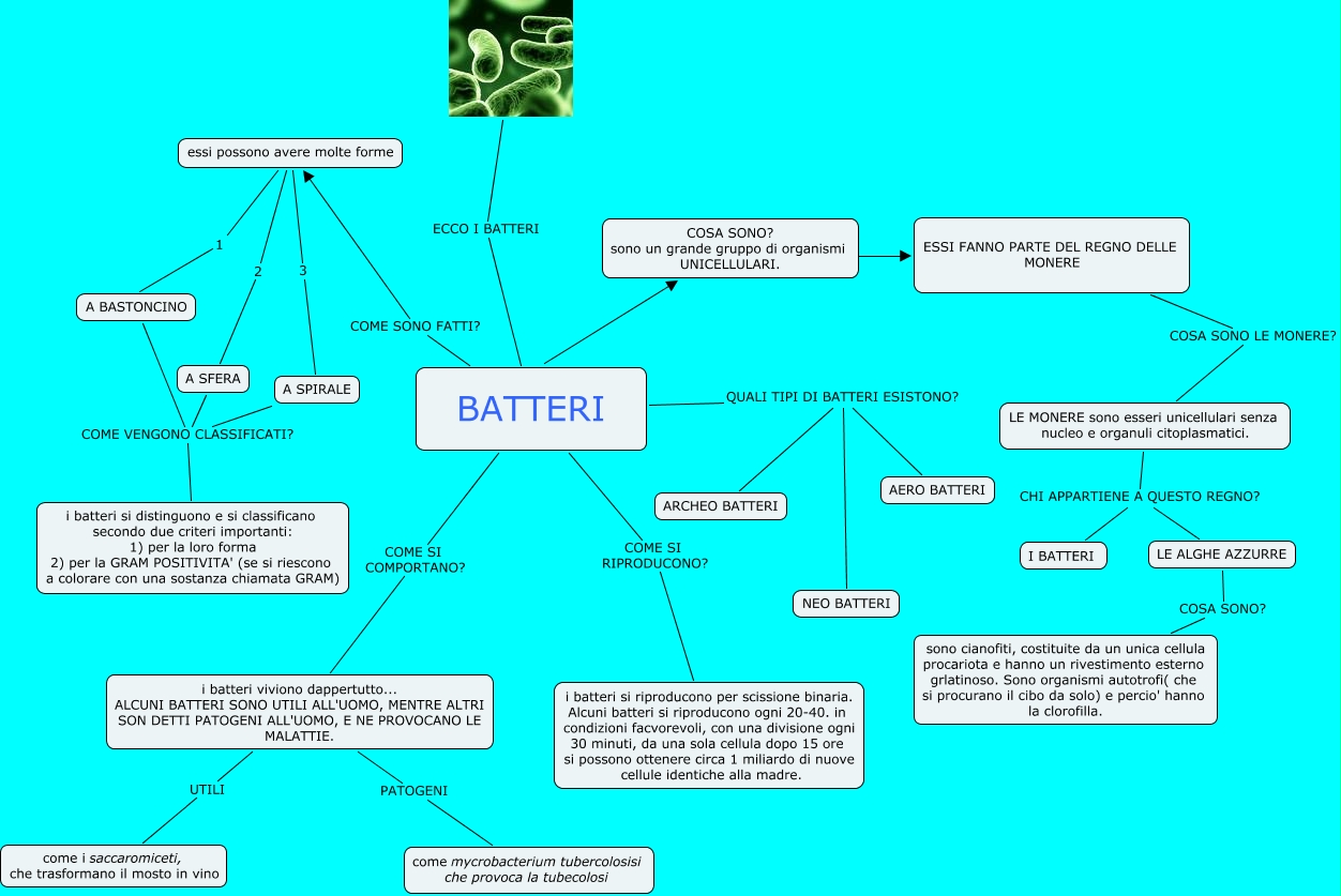 i batteri - cosa sono i batteri?