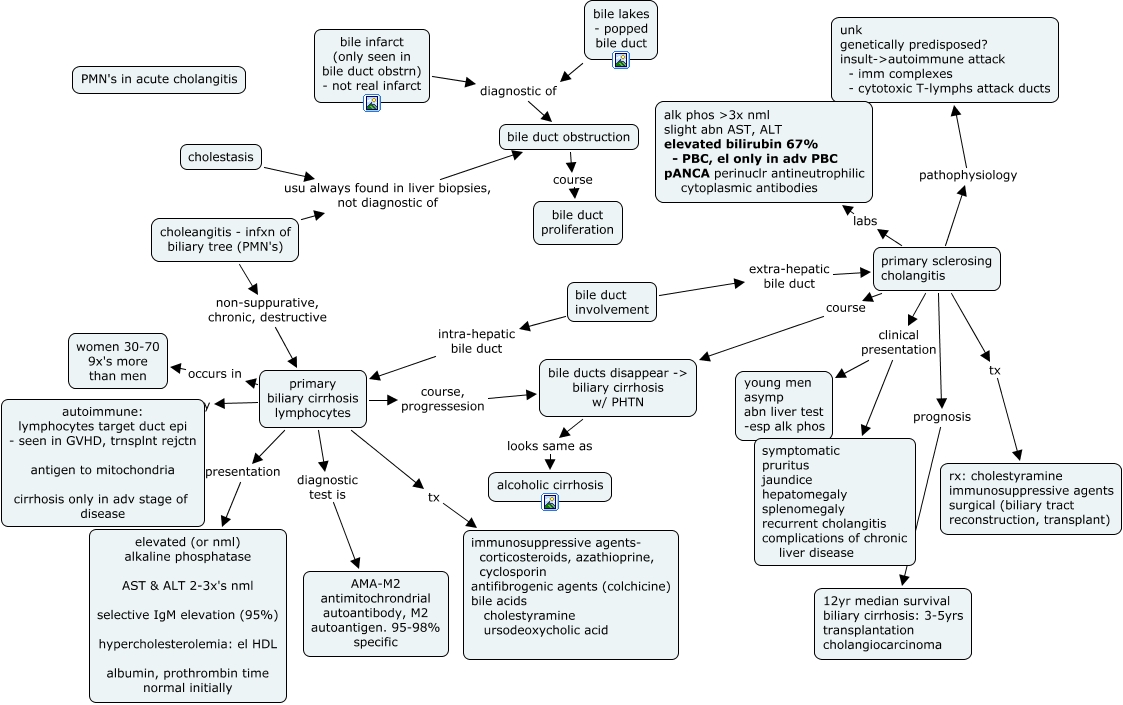 pathology of biliary tract diseases