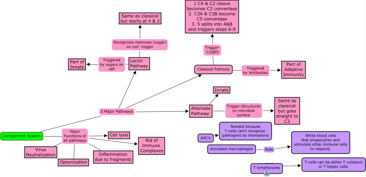 Complement