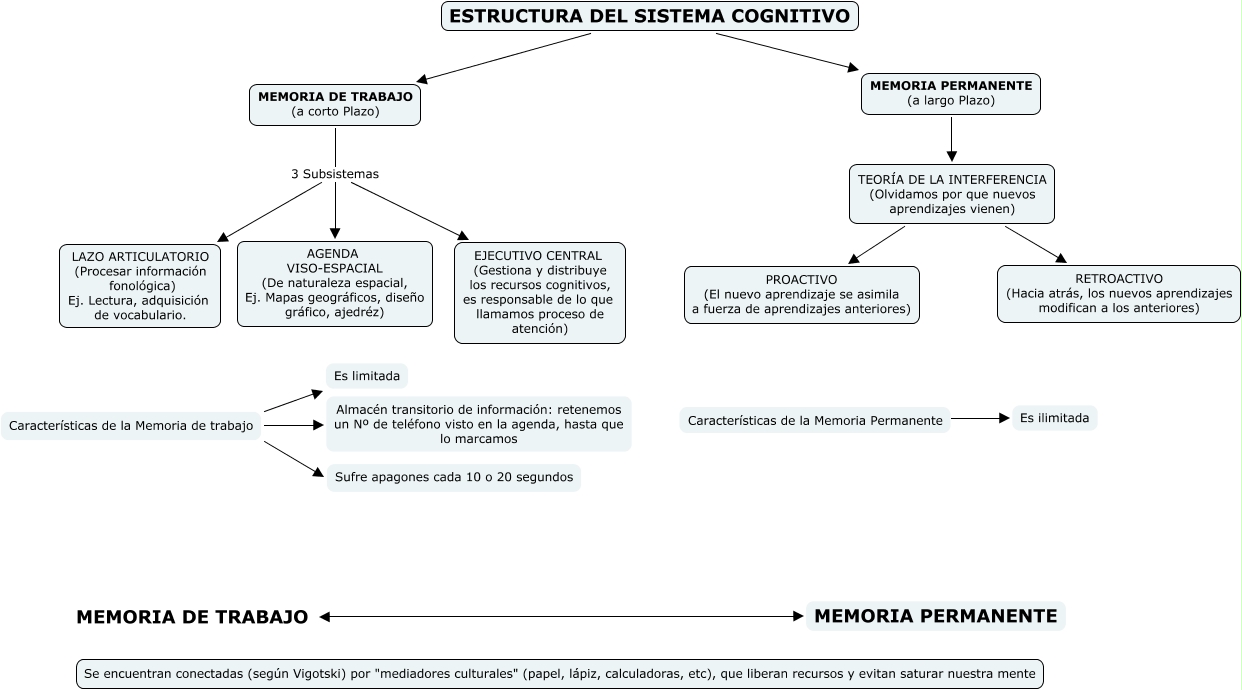 Estructura del Sistema Cognitivo