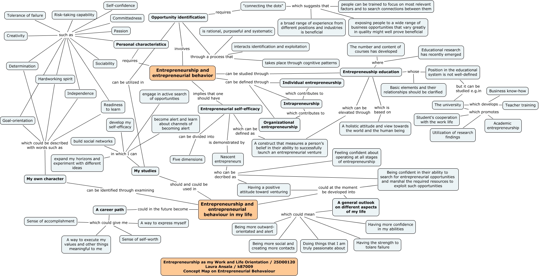 Concept Map on Entrepreneurial Behaviour Laura A - Entrepreneurship as ...