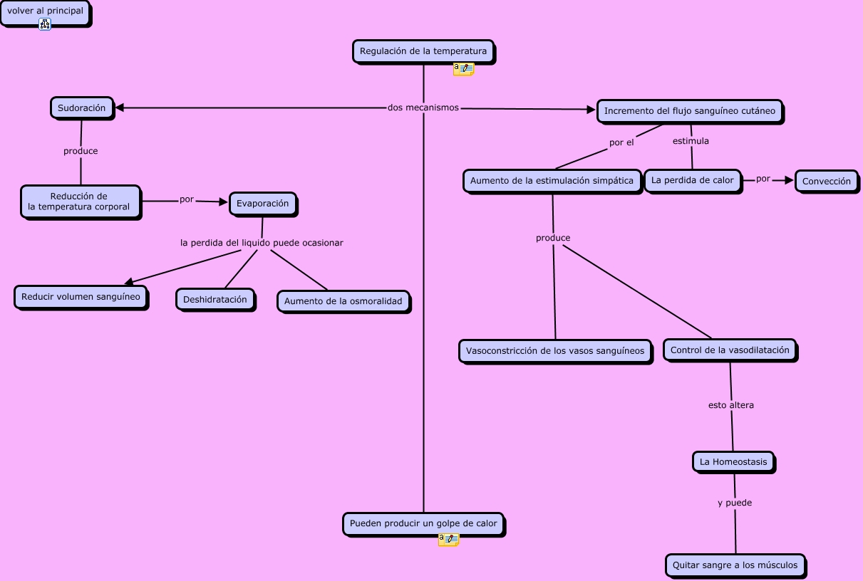 Regulacion temperatura