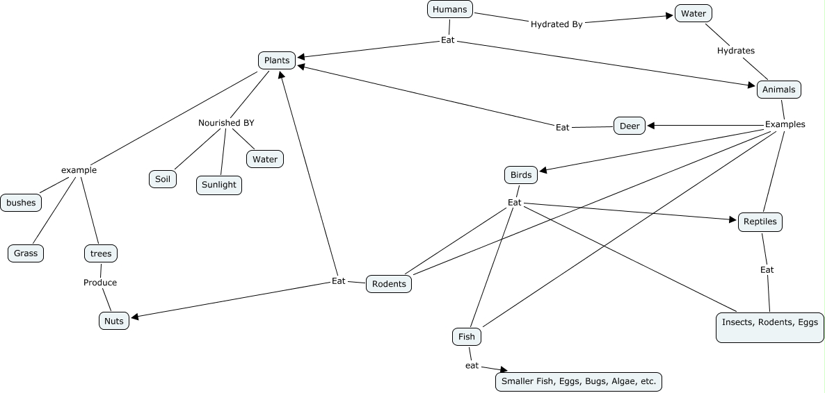 Modeling a Food Web Group RAJJ