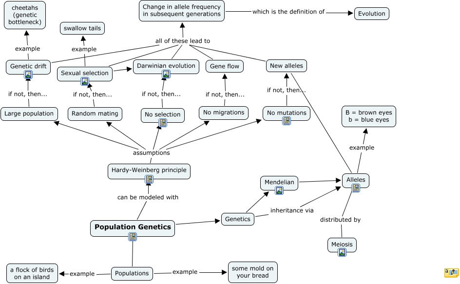 Andy Buttler - population genetics - How does Mendelian genetics relate ...