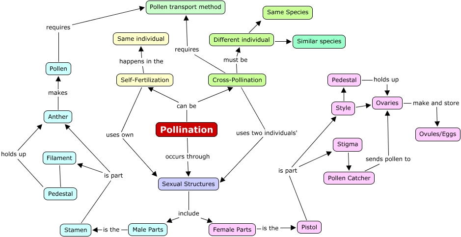 Pollination_Arlt