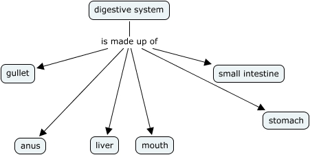 digestive system 3 caring
