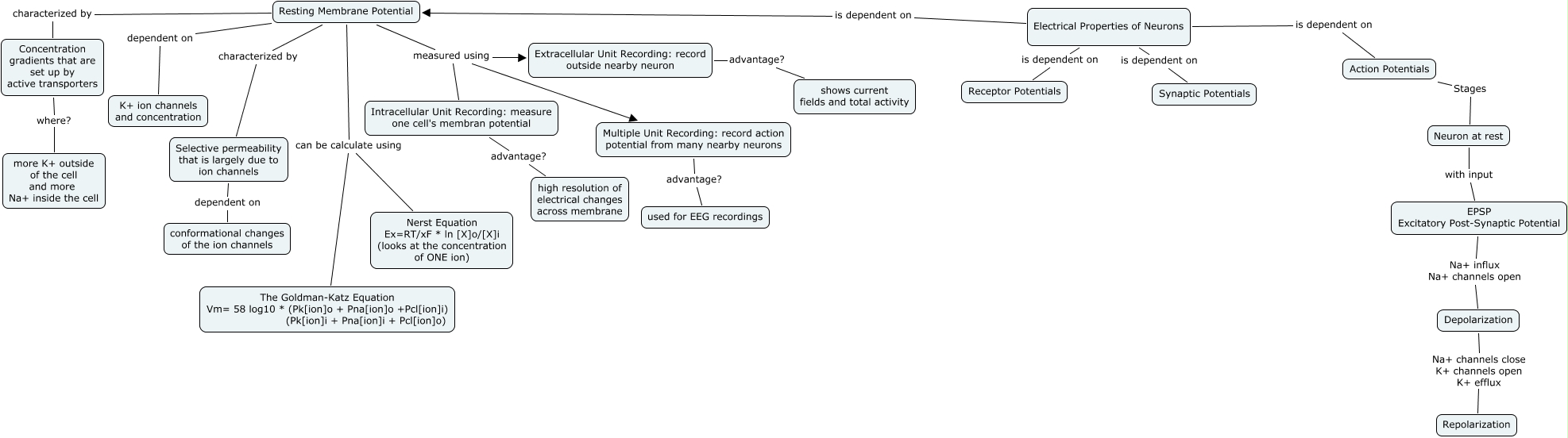 Electrical Properties of Neurons.cmap
