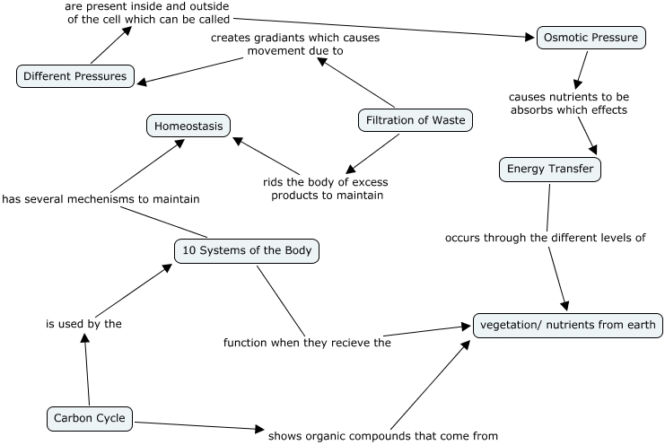 Homeostasis