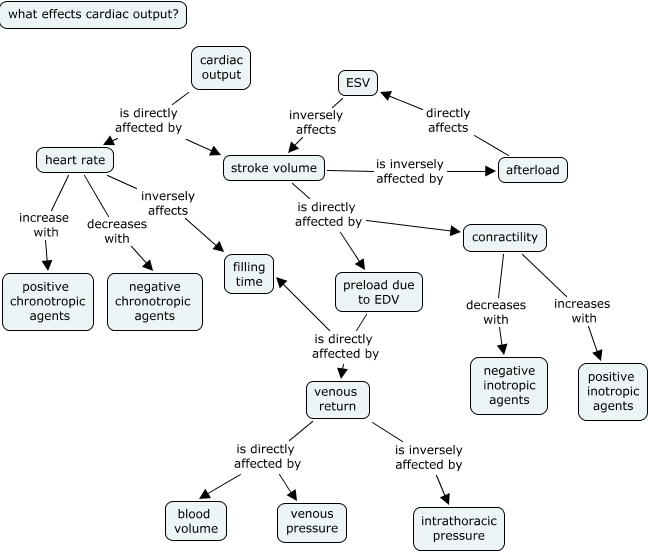 D.Cardona-Cardiac output cmap