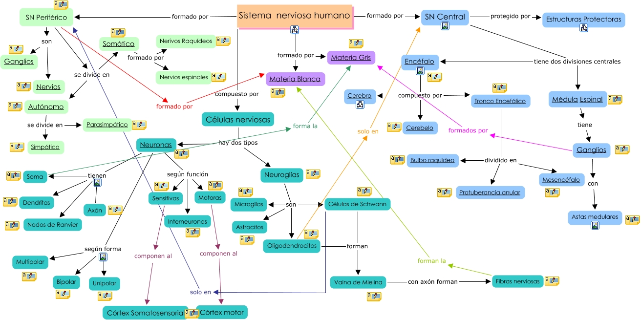 victoria hanke (listo)