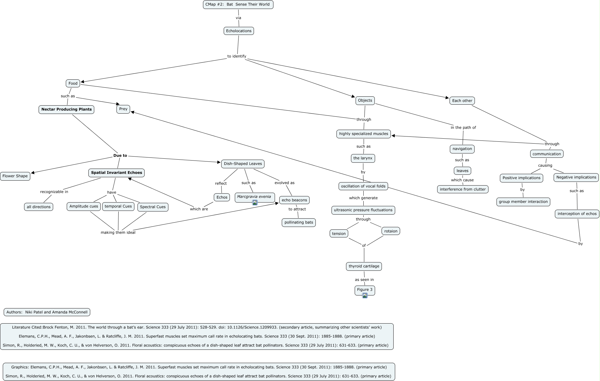 McConnell Patel Bat Sensory - How do bats sense their world