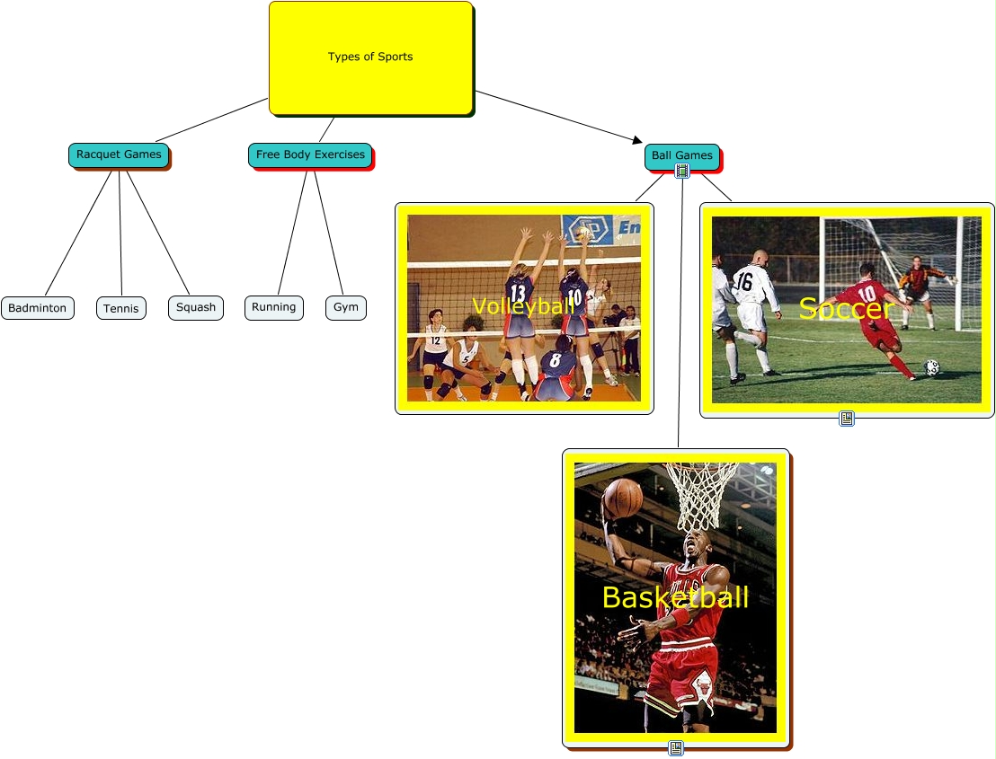 Types of Sports