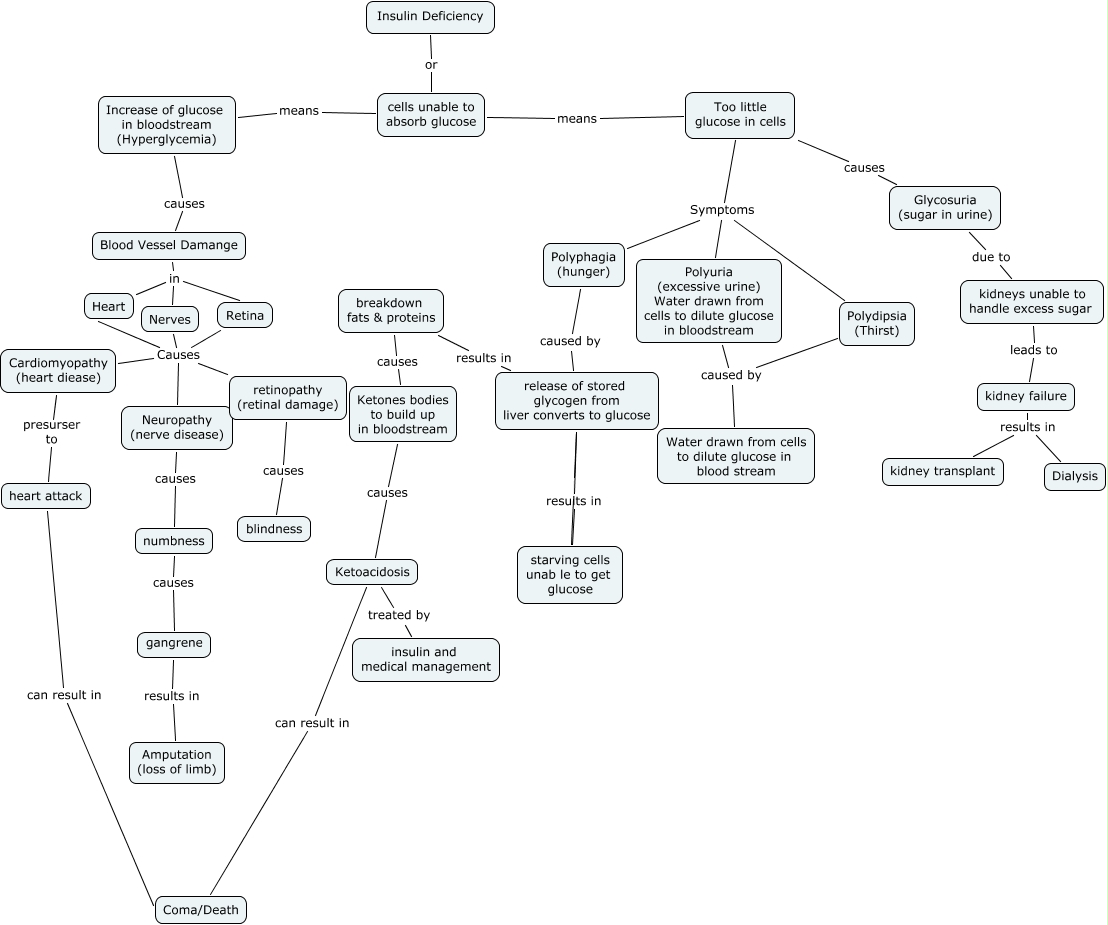 Insulin Deficiency camp 2 - What happens during hyperglycemia