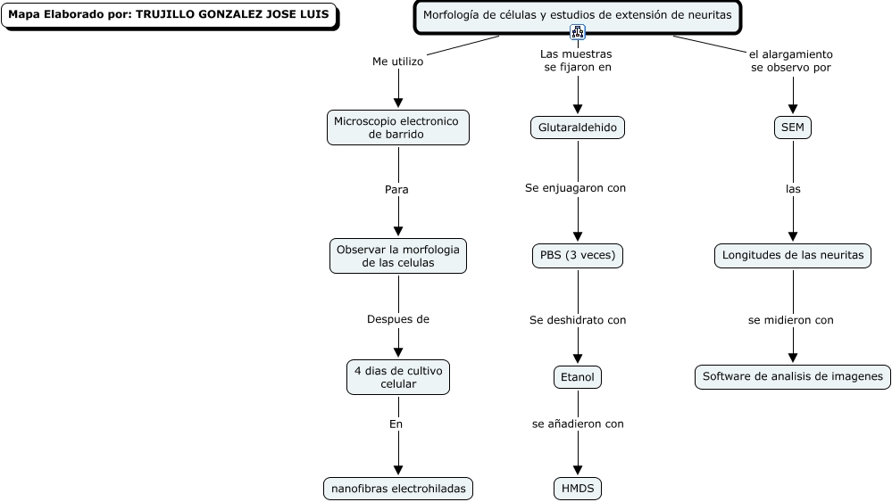 Morfología de células y estudios de extensión de neuritas