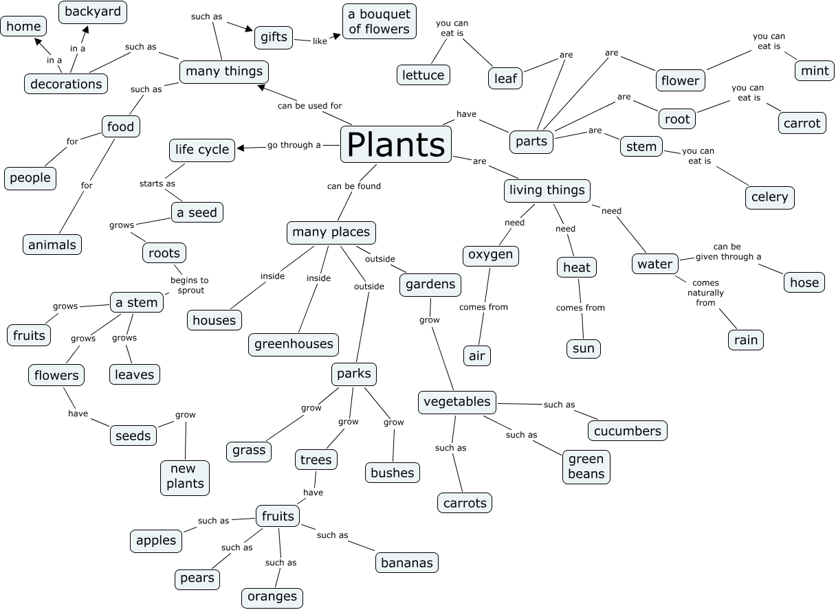 Plants