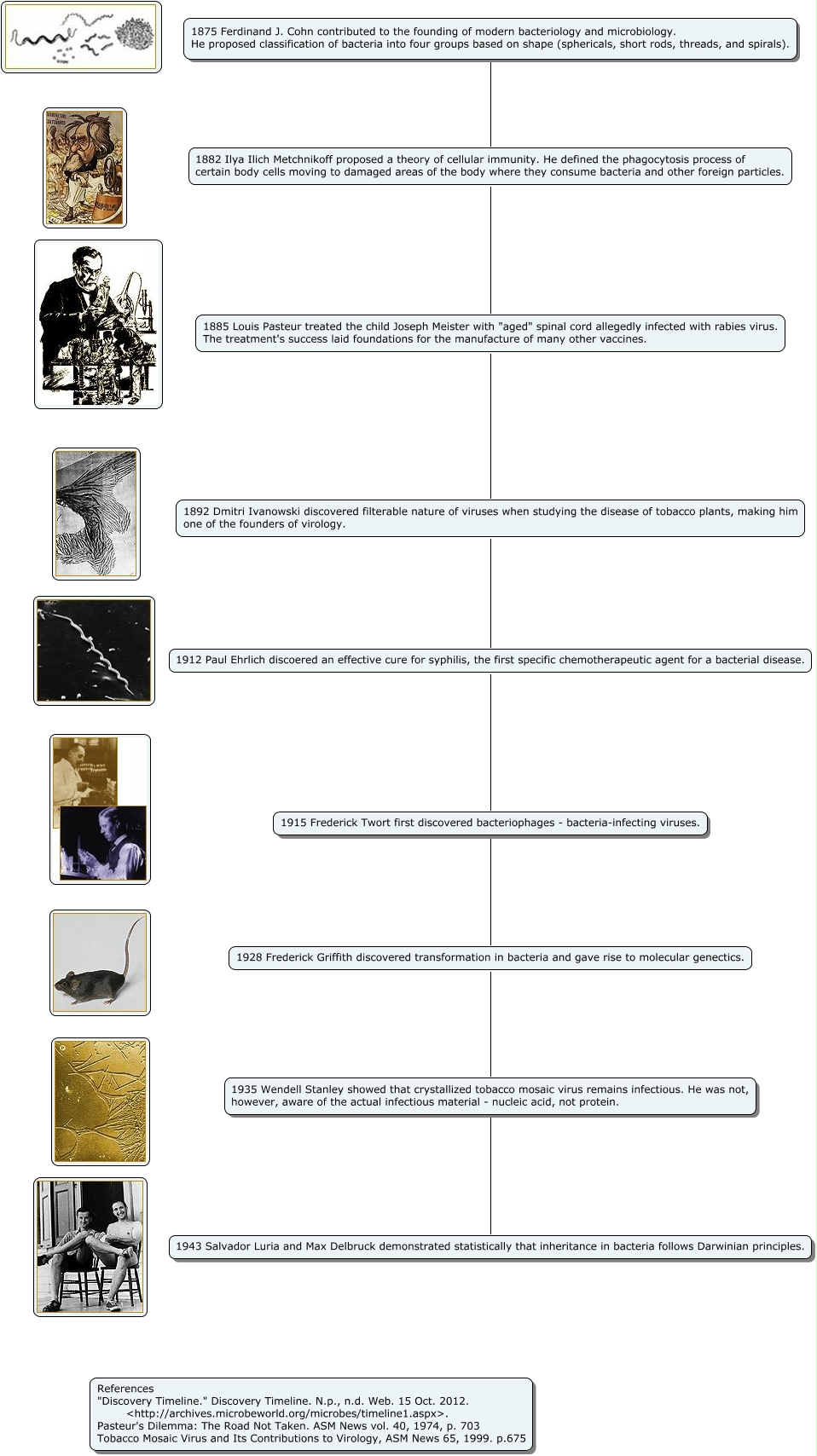 micro timeline