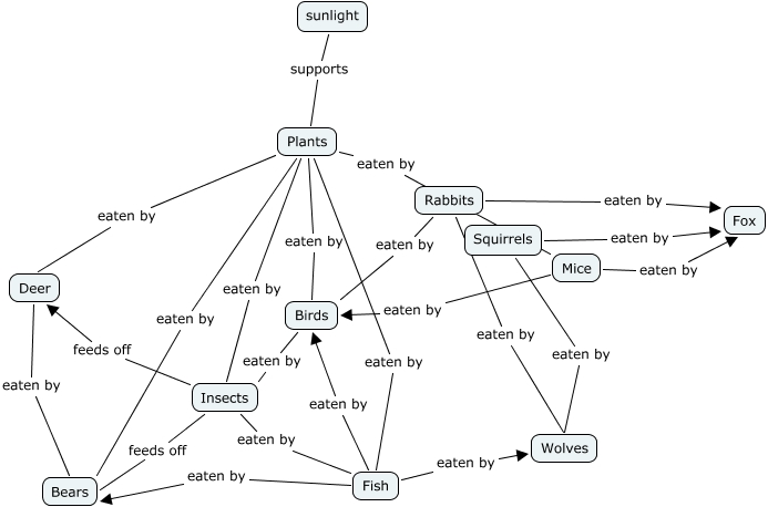 Team 8 food web - Food Web