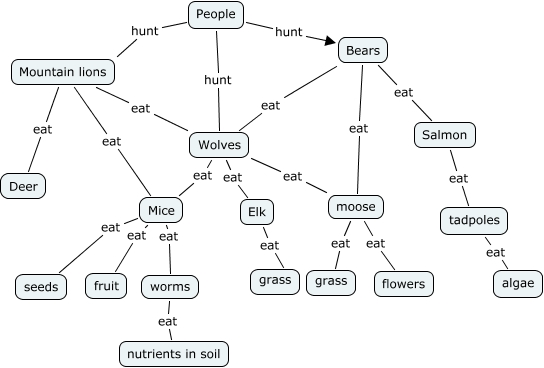 Wolves Food Map 2 - What is the wolves food chain?