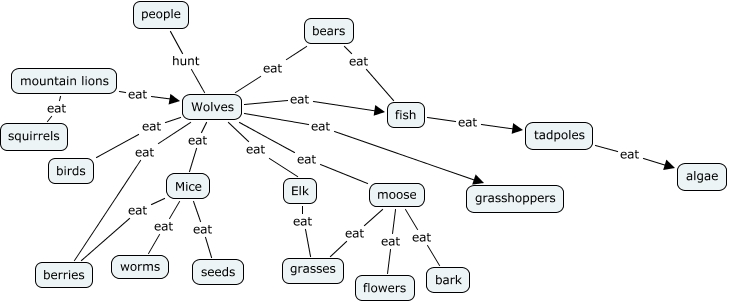 Wolves Food Map 1 - What is a wolves food chain?
