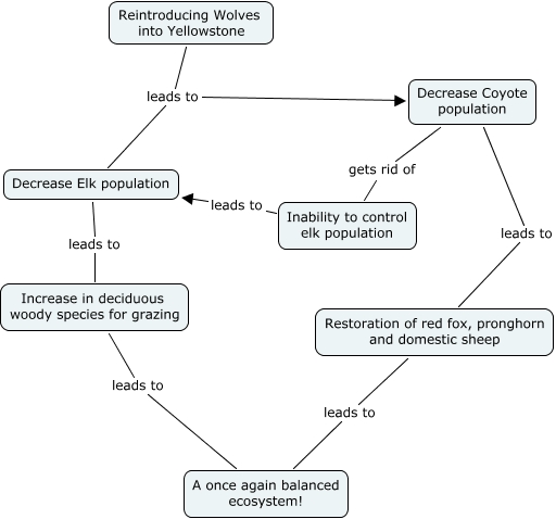 Adam Doorn wolf cmap thing - How would reintroducing wolves into ...