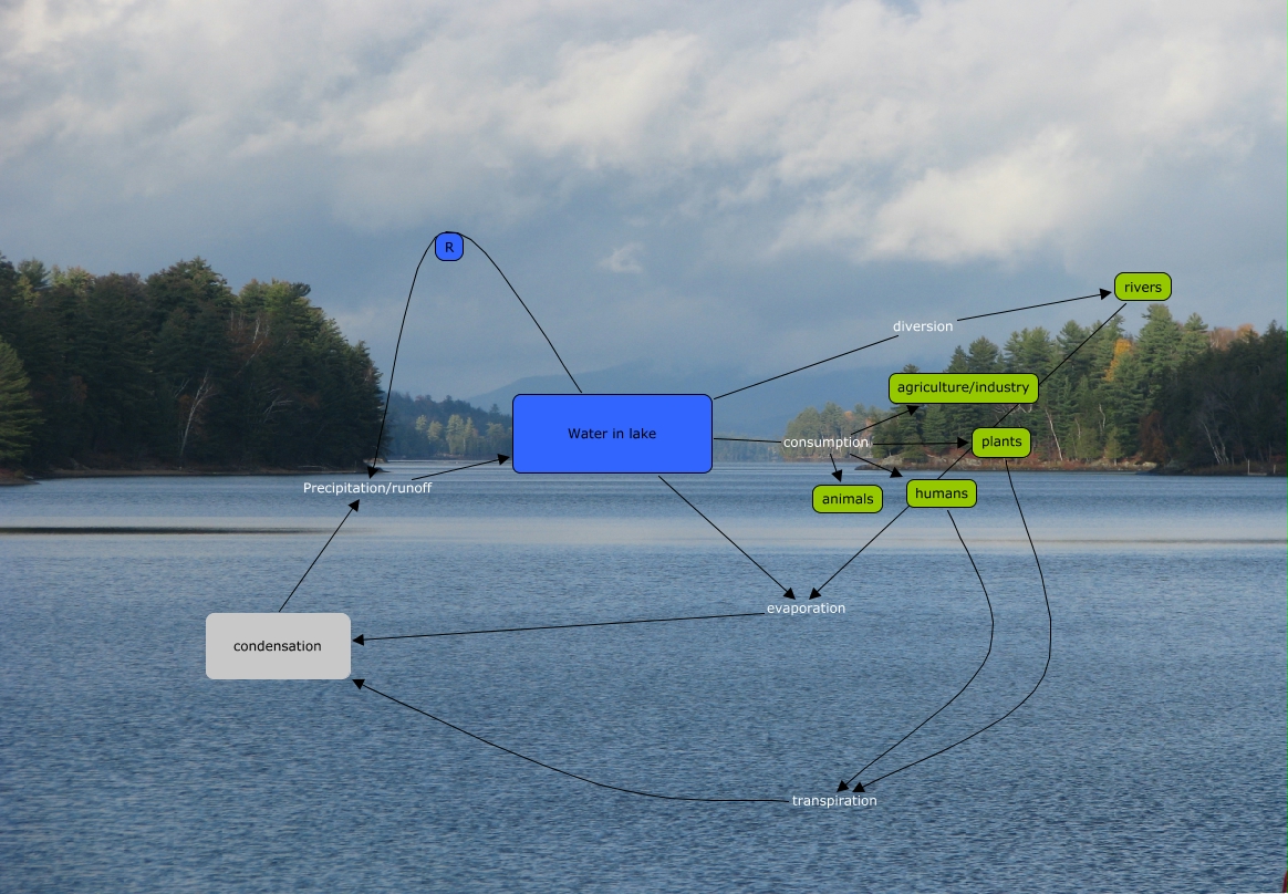 BIO BUSTERS - The Water Cycle
