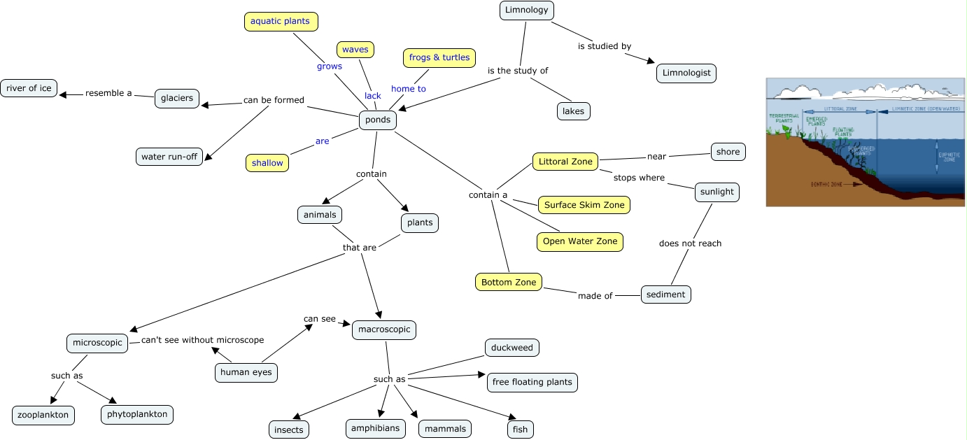 Limnology - What does a Limnoloist Study?