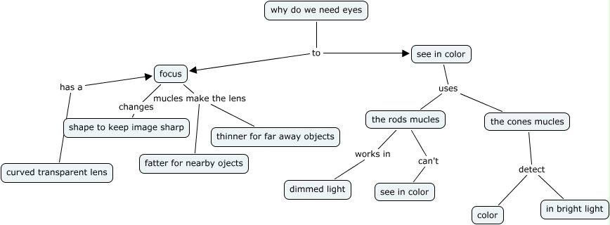 why do we need eyes
