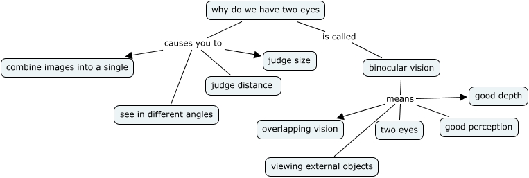 why do we have two eyes