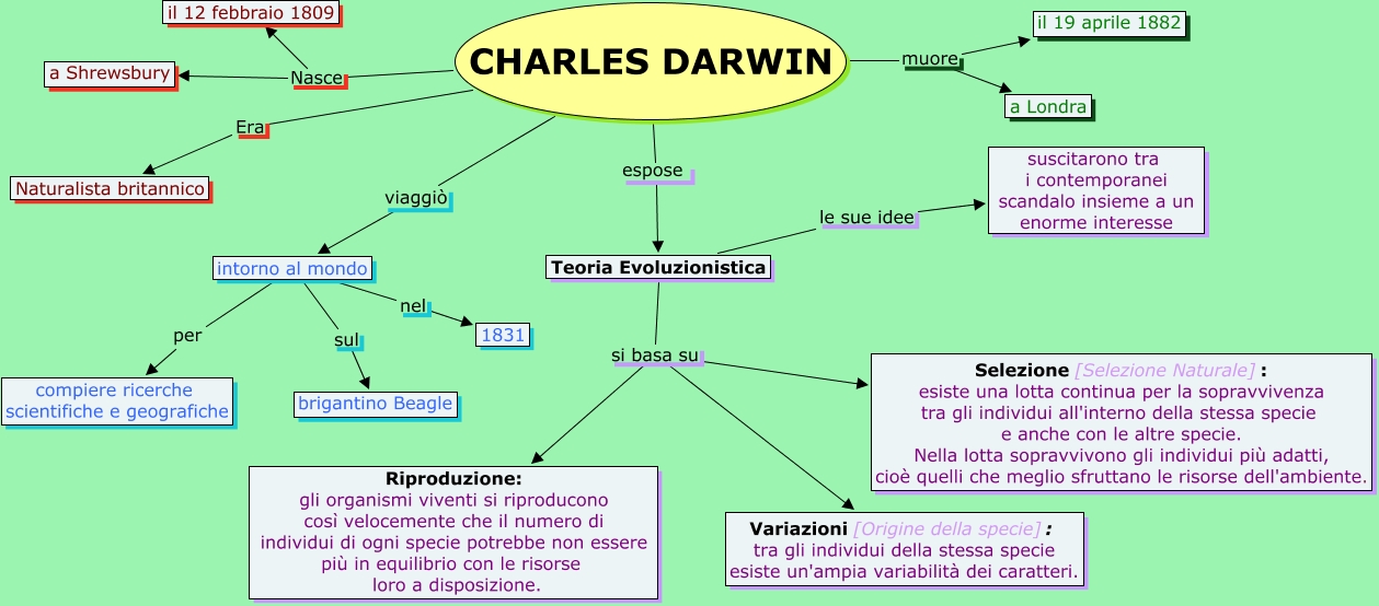 Lovo_Darwin