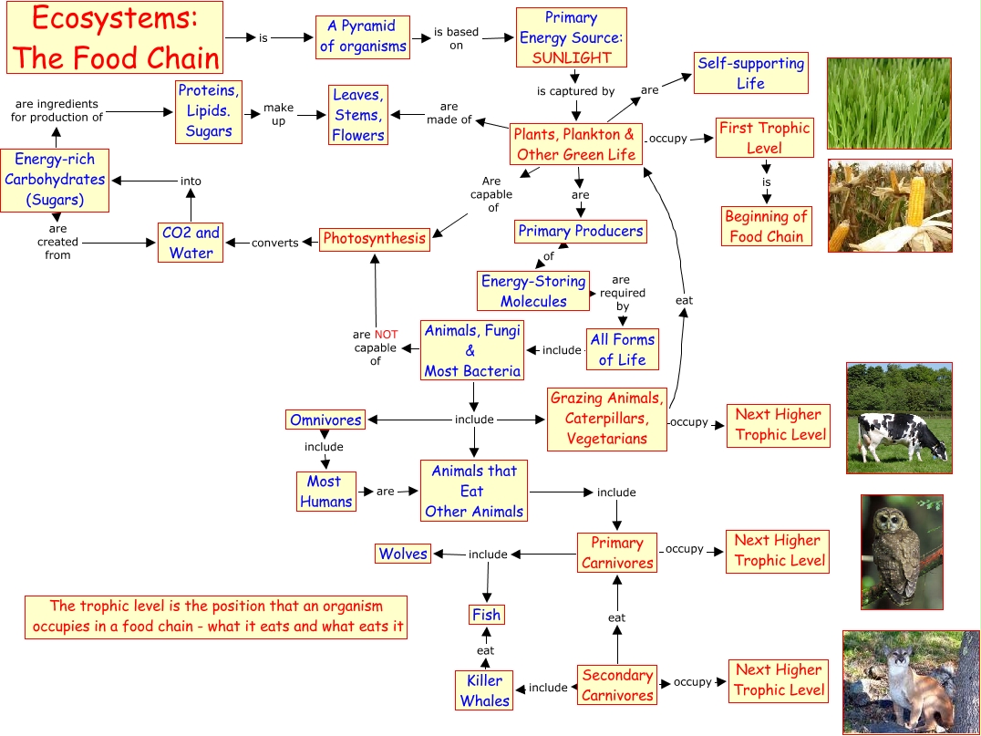 FoodChains