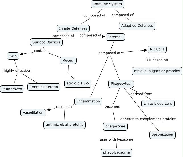 Immune System Concept Map 5945