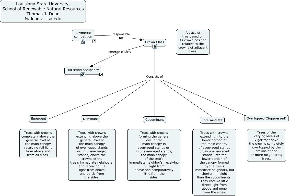 Crown class - What are the definitions of the various crown positions?