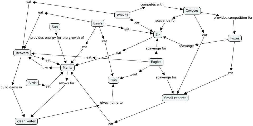 The Anonymous Biologists Food Web
