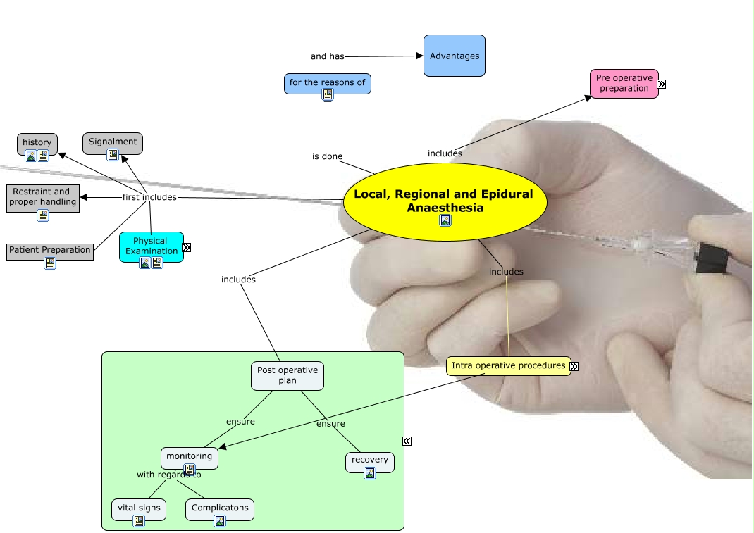 LOCAL, REGIONAL, EPIDURAL ANAESTHESIA