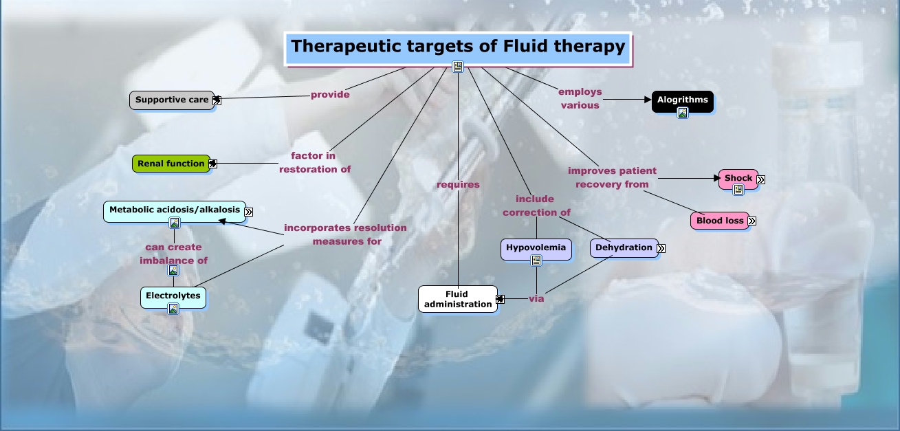Fluid therapy