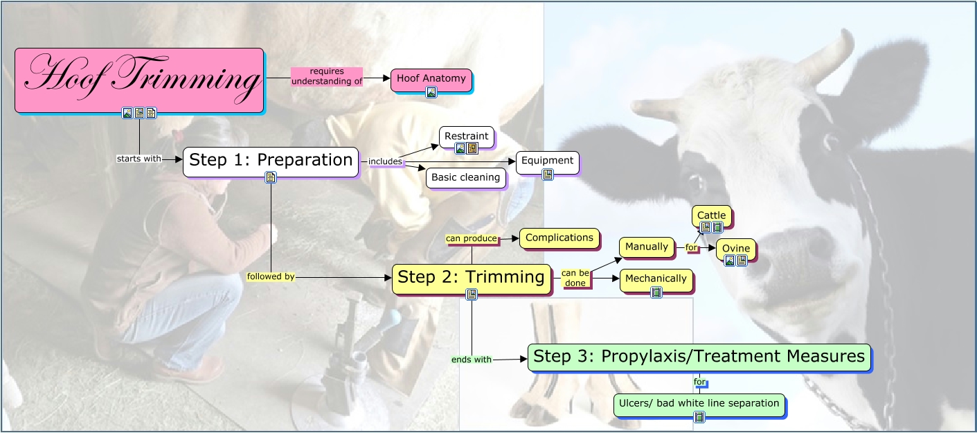 Lab 3 - Hoof trimming